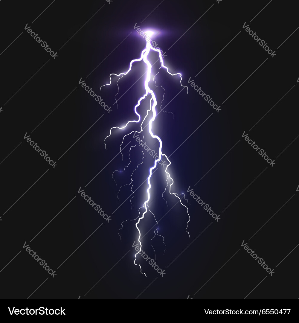New realistic lightning sign Royalty Free Vector Image