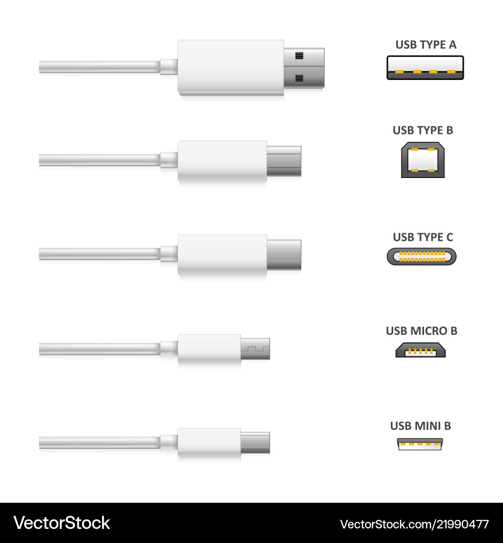 Realistic detailed 3d white usb types set Vector Image