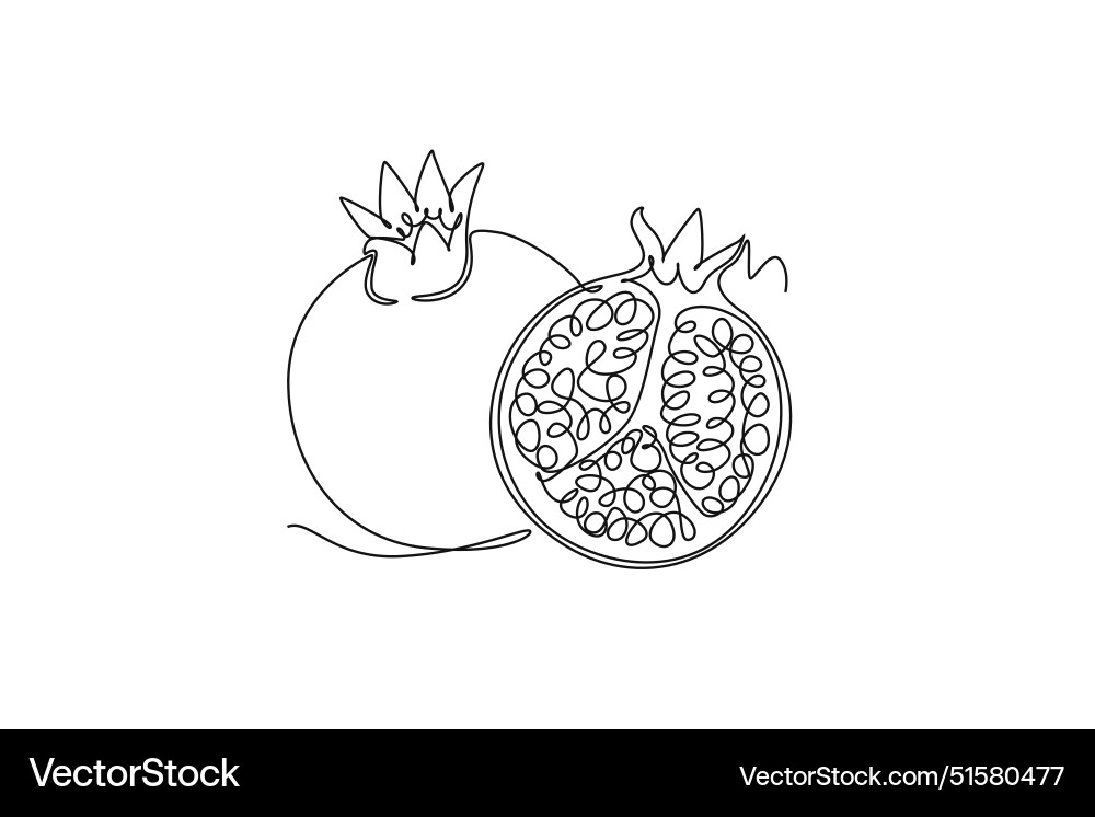 Single one line drawing whole and half sliced Vector Image