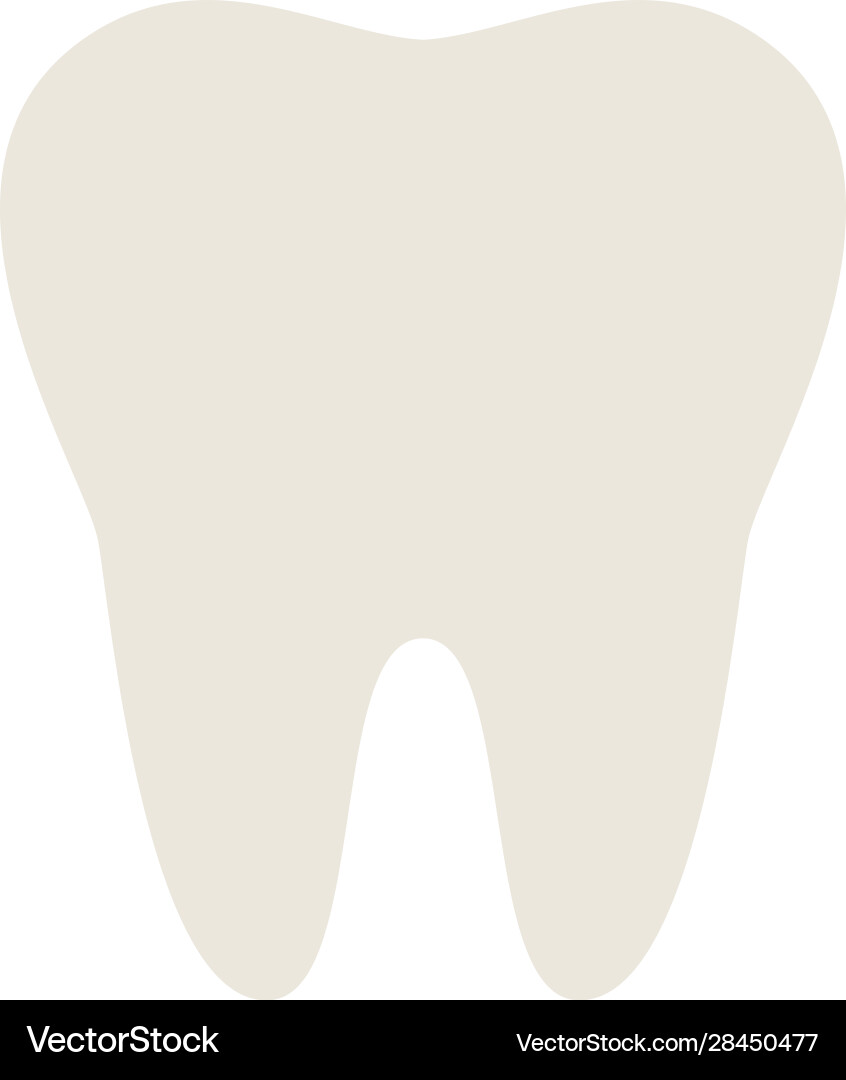 Whole molar icon flat isolated Royalty Free Vector Image