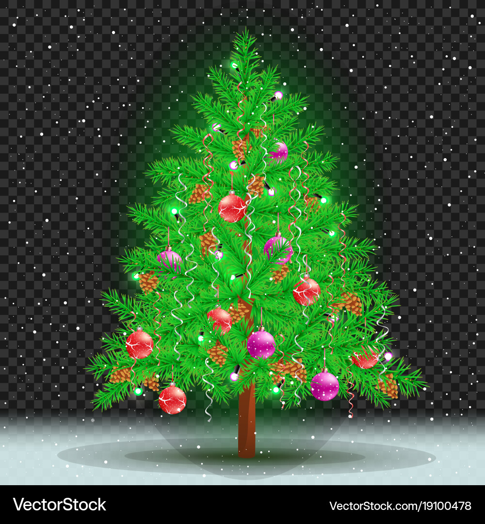 Christmas tree dark transparent background Vector Image