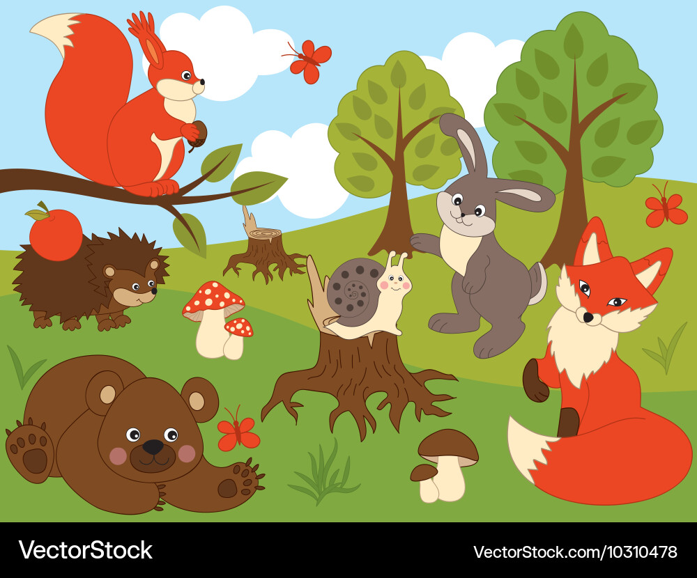 Woodland animals Royalty Free Vector Image - VectorStock