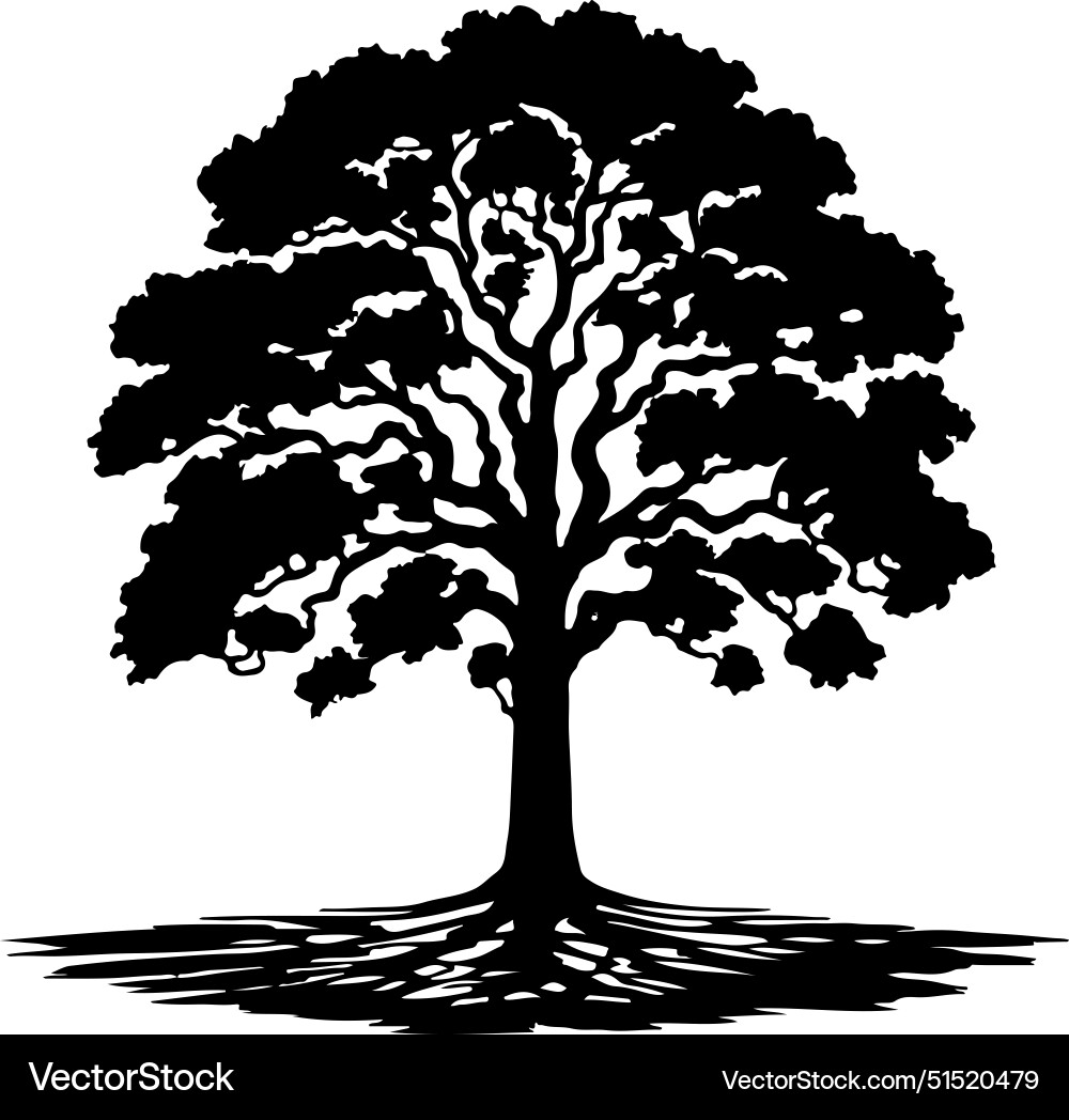Beautiful tree silhouette white background Vector Image