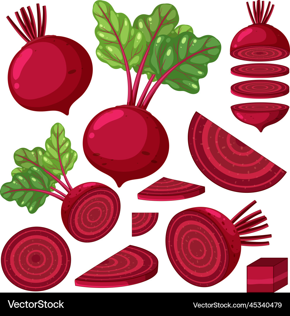 Set of beetroot cartoon Royalty Free Vector Image