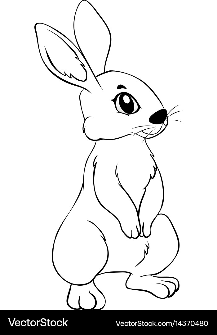 Animal outline for rabbit Royalty Free Vector Image