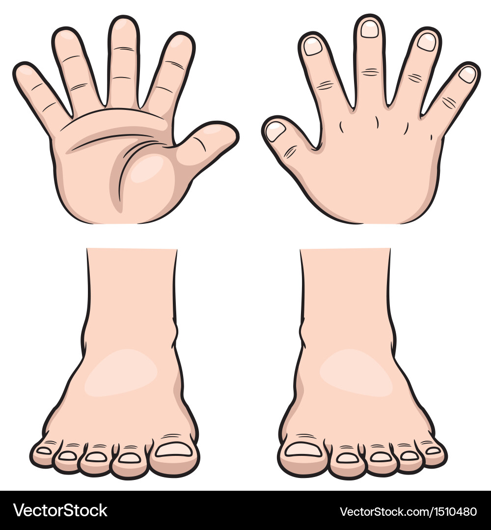 Hands and feet Royalty Free Vector Image - VectorStock