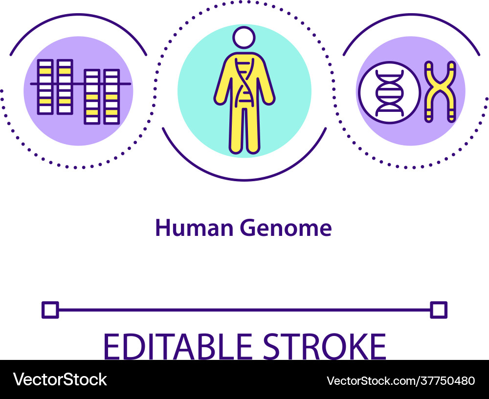 Human Genome Concept Icon Royalty Free Vector Image