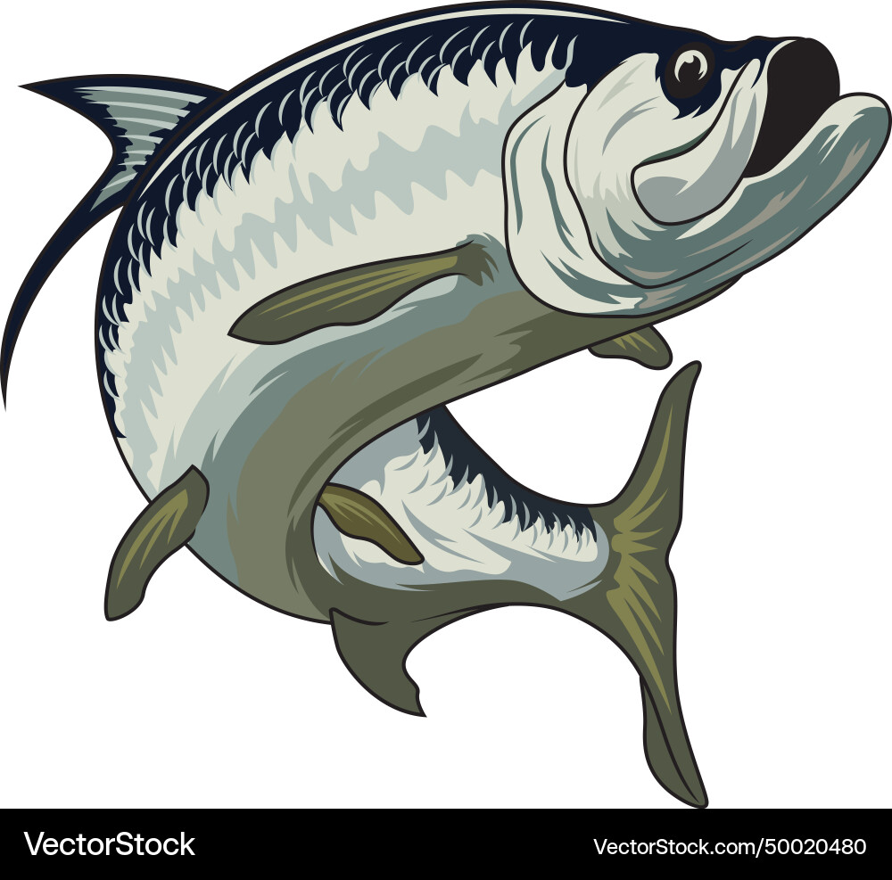 Tarpon Fishing Logo Royalty Free Vector Image - VectorStock