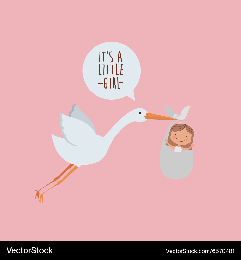 Baby on the way Royalty Free Vector Image - VectorStock