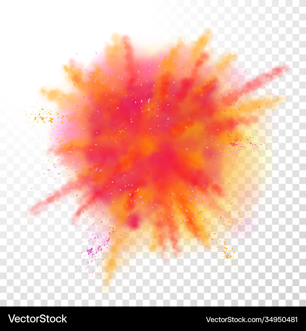 Paint powder color explosion on transparent Vector Image