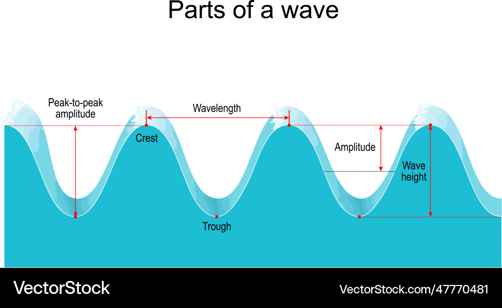 What Are The Parts Of A Wave Wave Anatomy – Understanding Sound