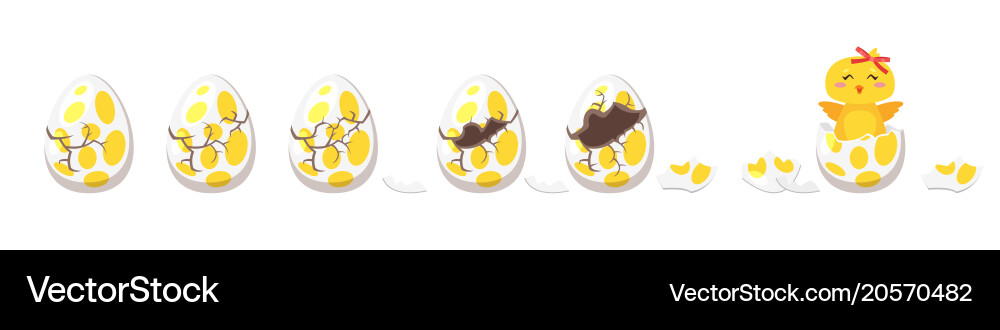 Chick hatch animation from egg Royalty Free Vector Image