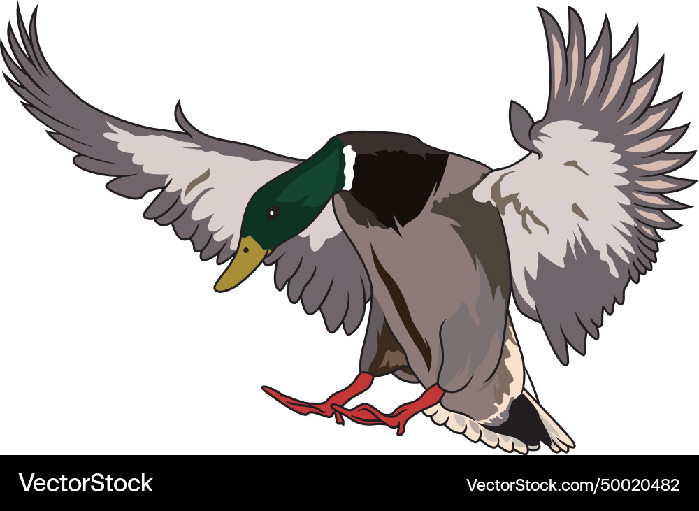 Mallard Hunting Logo Royalty Free Vector Image