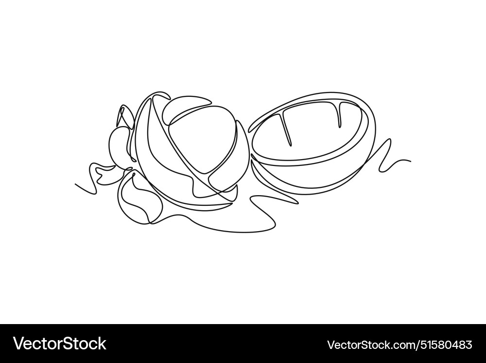 Continuous one line drawing half sliced freshness Vector Image