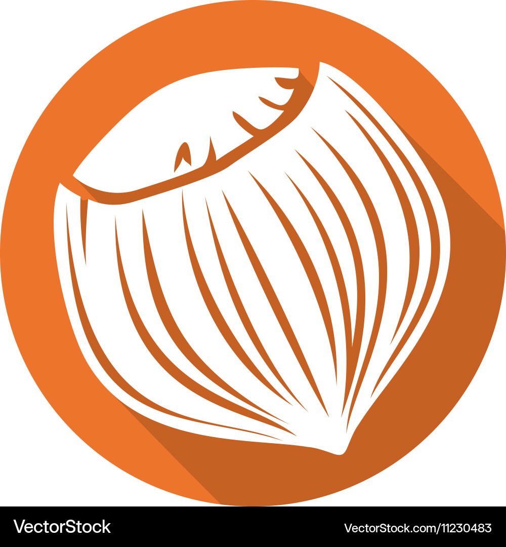 Hazelnut icon Royalty Free Vector Image - VectorStock