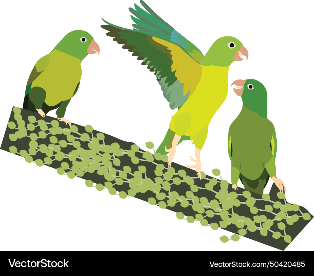 Parrot design Royalty Free Vector Image - VectorStock