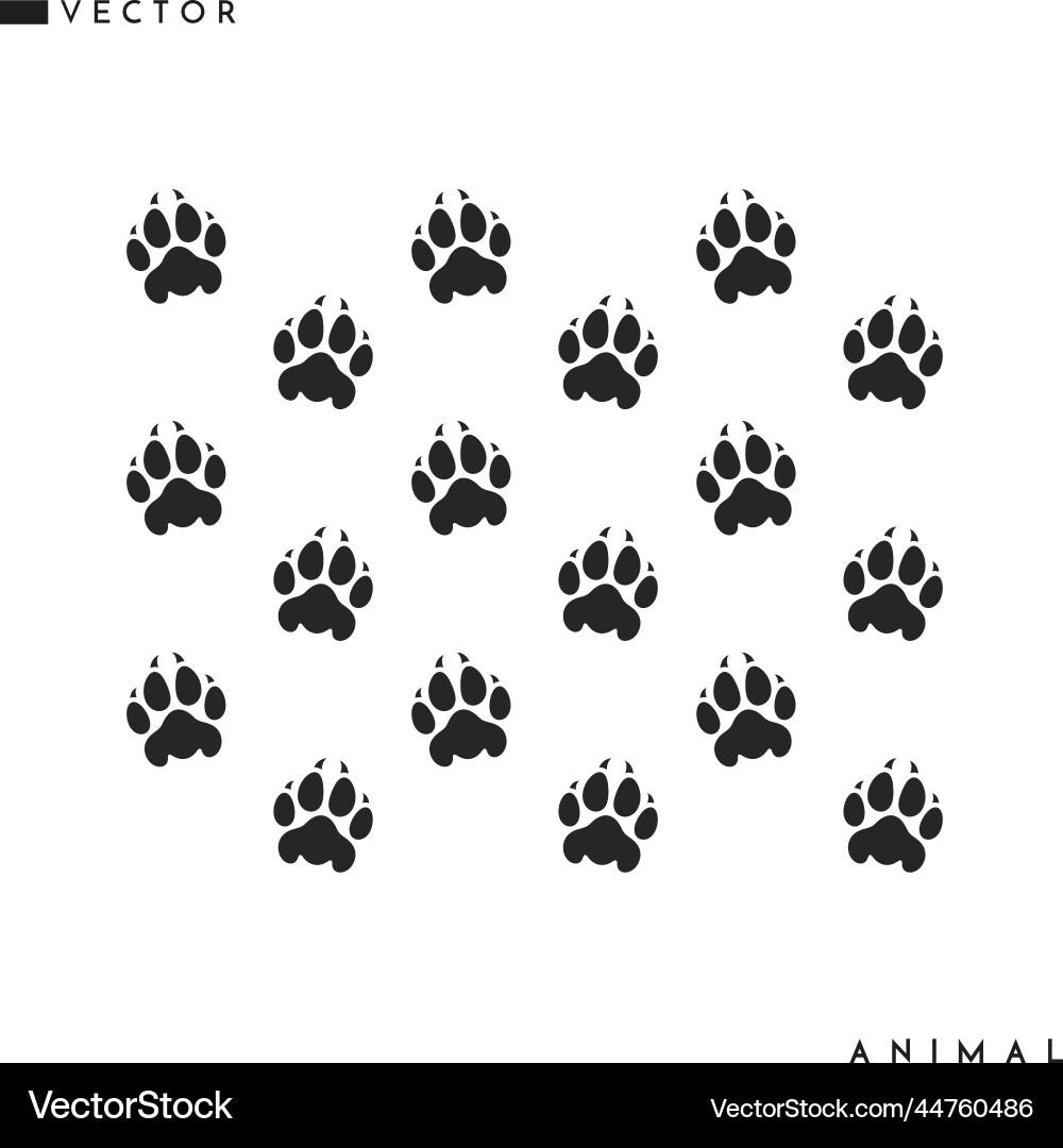 Lion paw prints Royalty Free Vector Image - VectorStock