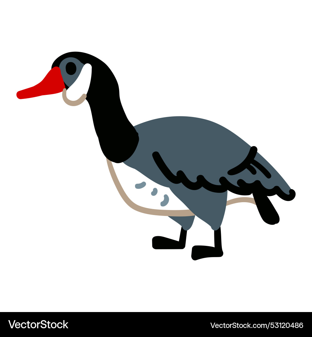 Mallard duck cartoon animal isolated Royalty Free Vector
