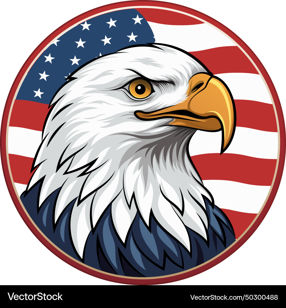 American Bald Eagle Head with Flag Royalty Free Vector Image