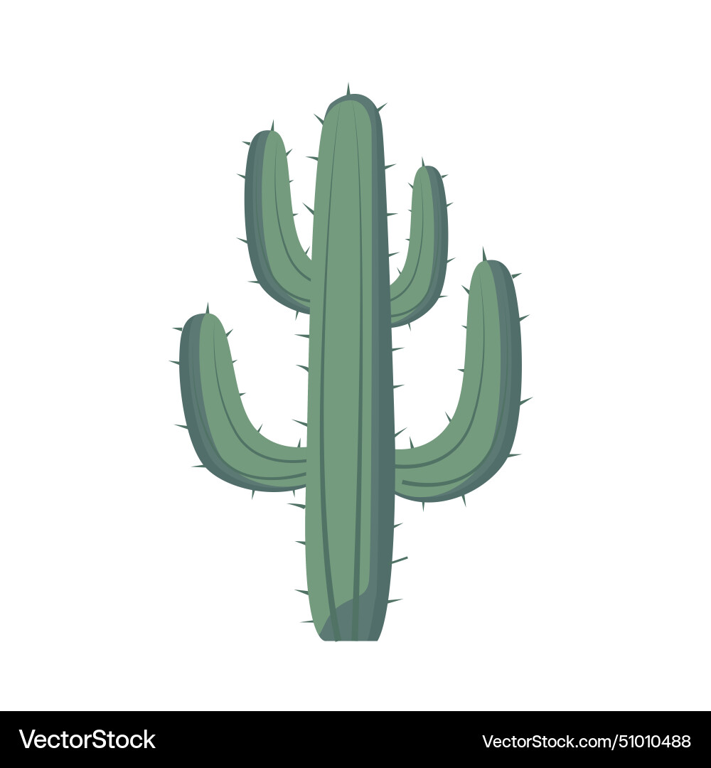 Cacti tree desert plant cactus image Royalty Free Vector