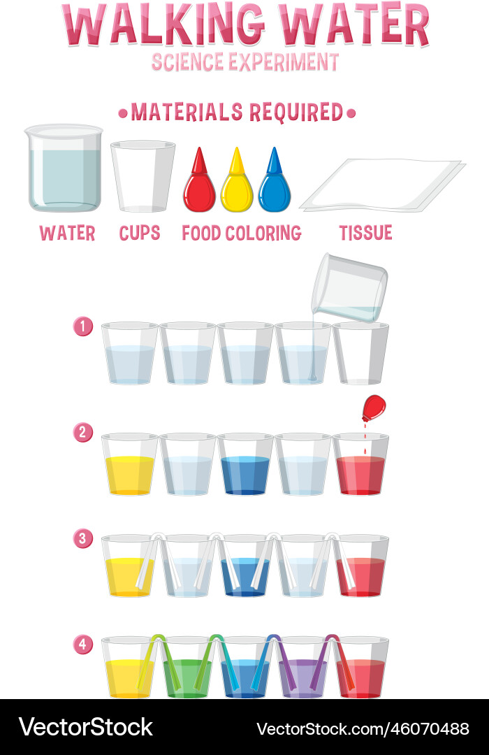 Walking water science experiment Royalty Free Vector Image