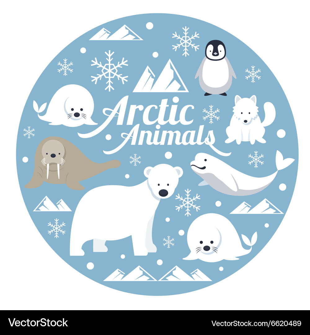 Antarctic Animals Vs Arctic Animals Clipart