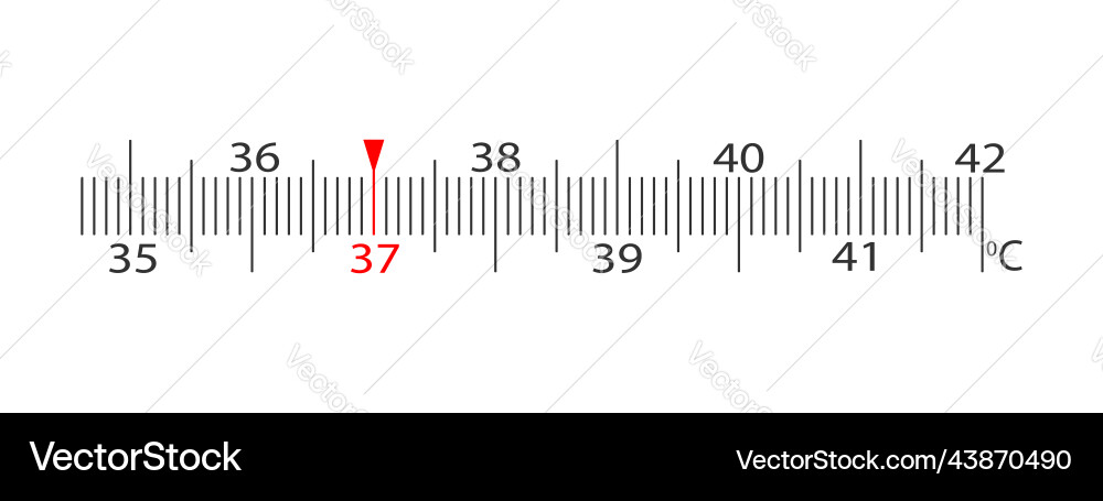 Horizontal scale of body thermometer Royalty Free Vector
