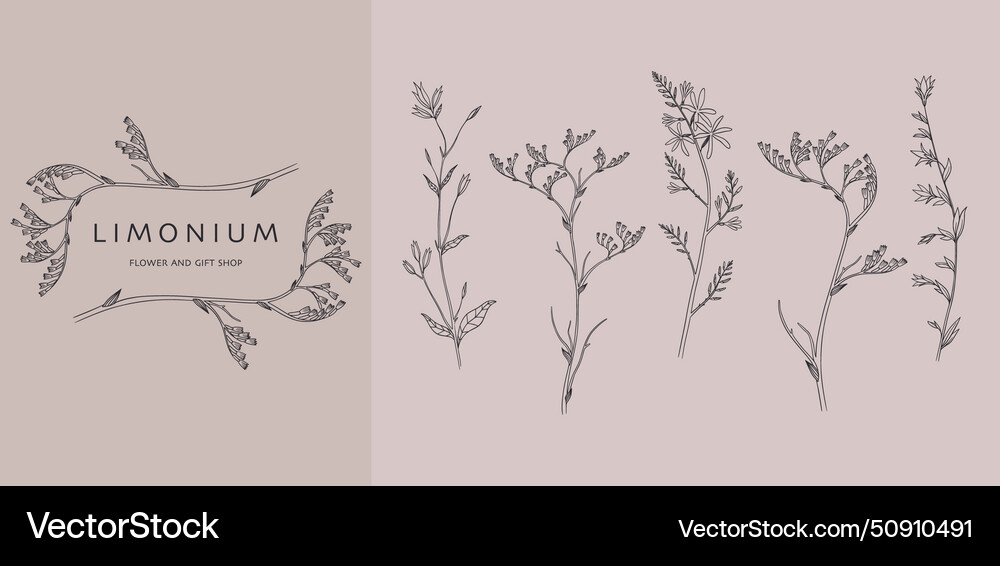 Flower logo herb plant frame or minimal branch Vector Image