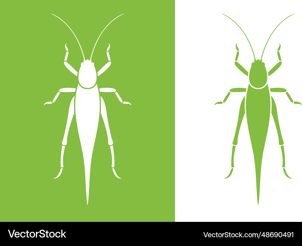 Grasshopper Royalty Free Vector Image - VectorStock