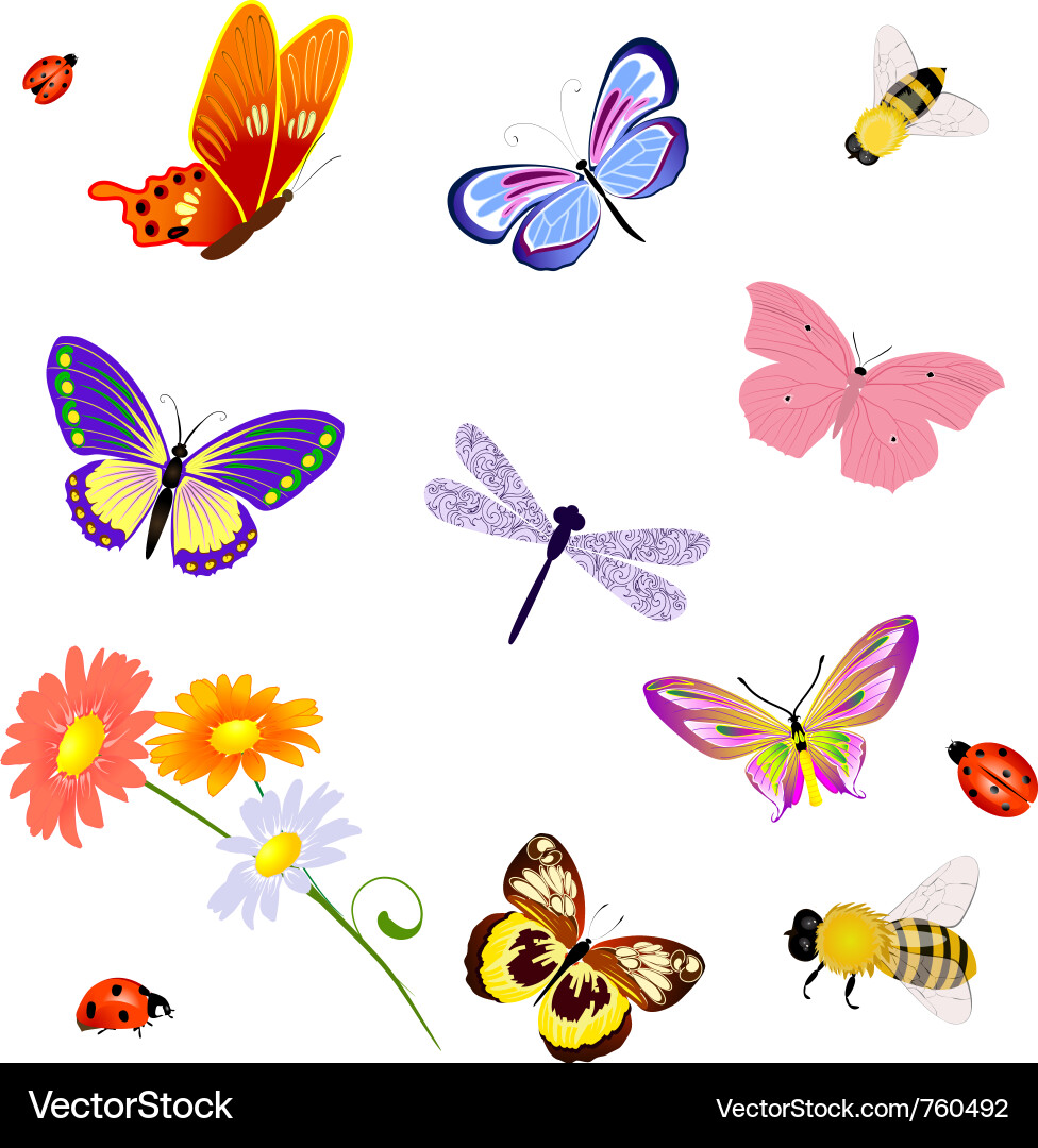 Butterfly insects bee ladybug Royalty Free Vector Image
