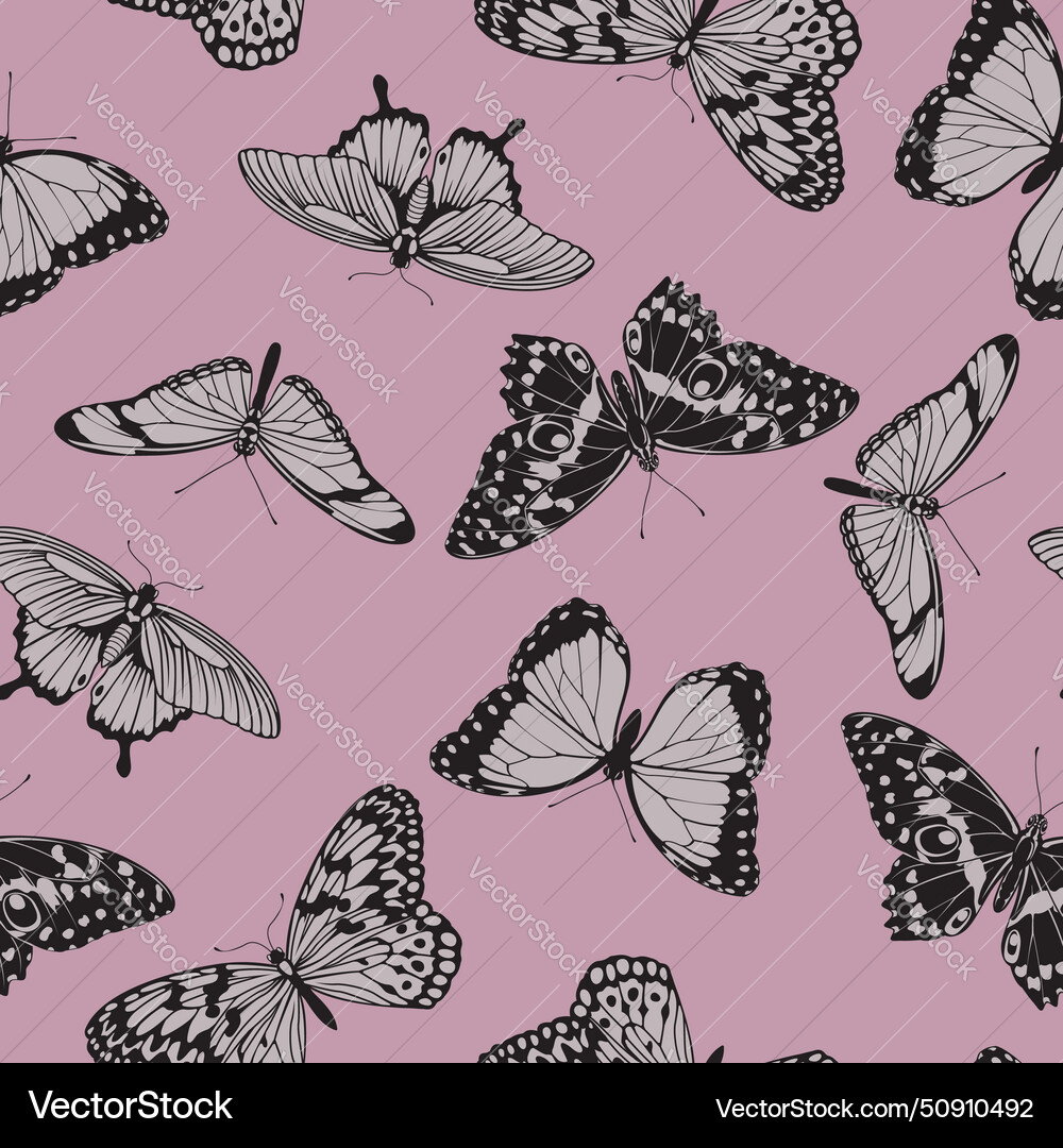 Butterfly seamless vintage pattern Royalty Free Vector Image
