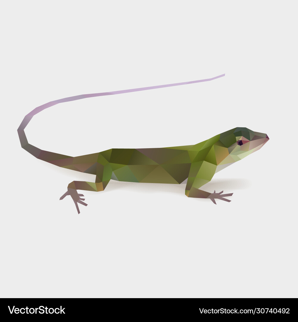Lizard Royalty Free Vector Image - VectorStock