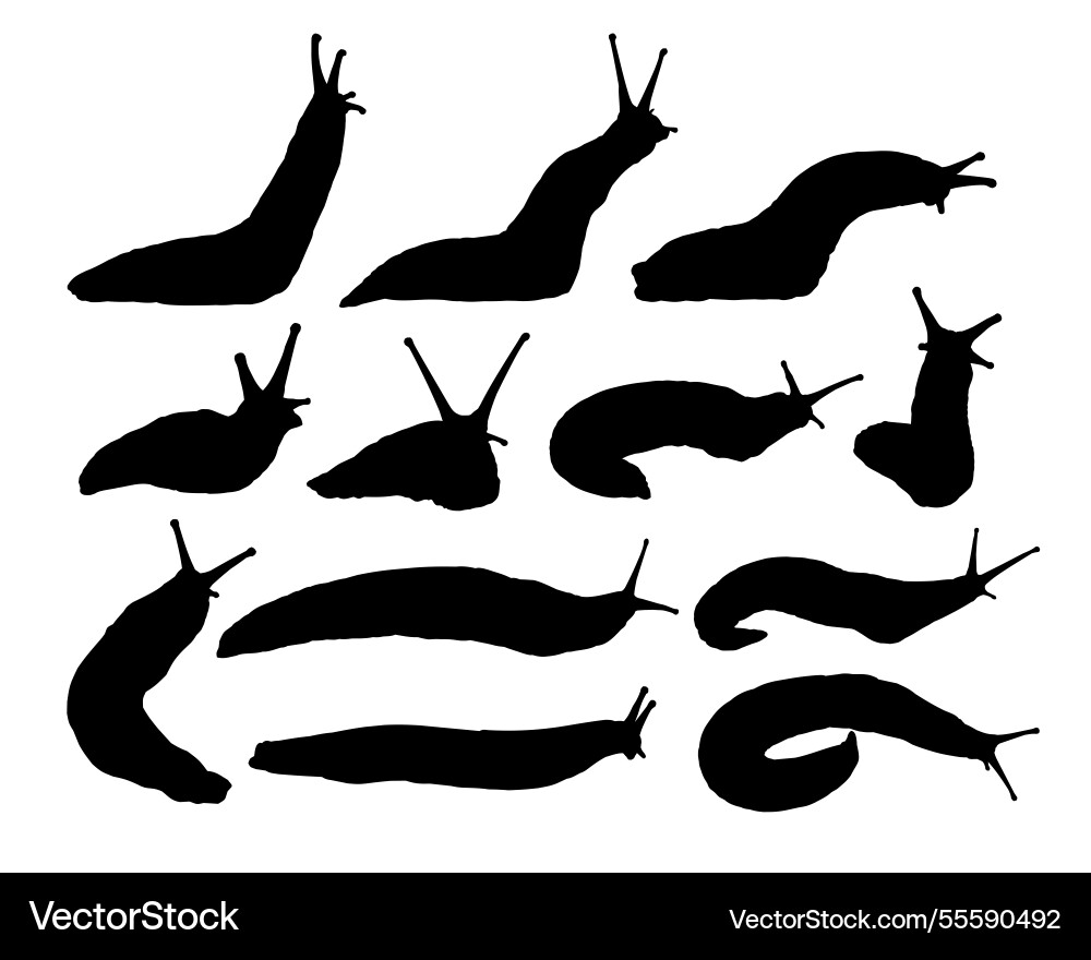 Set silhouettes of slugs Royalty Free Vector Image