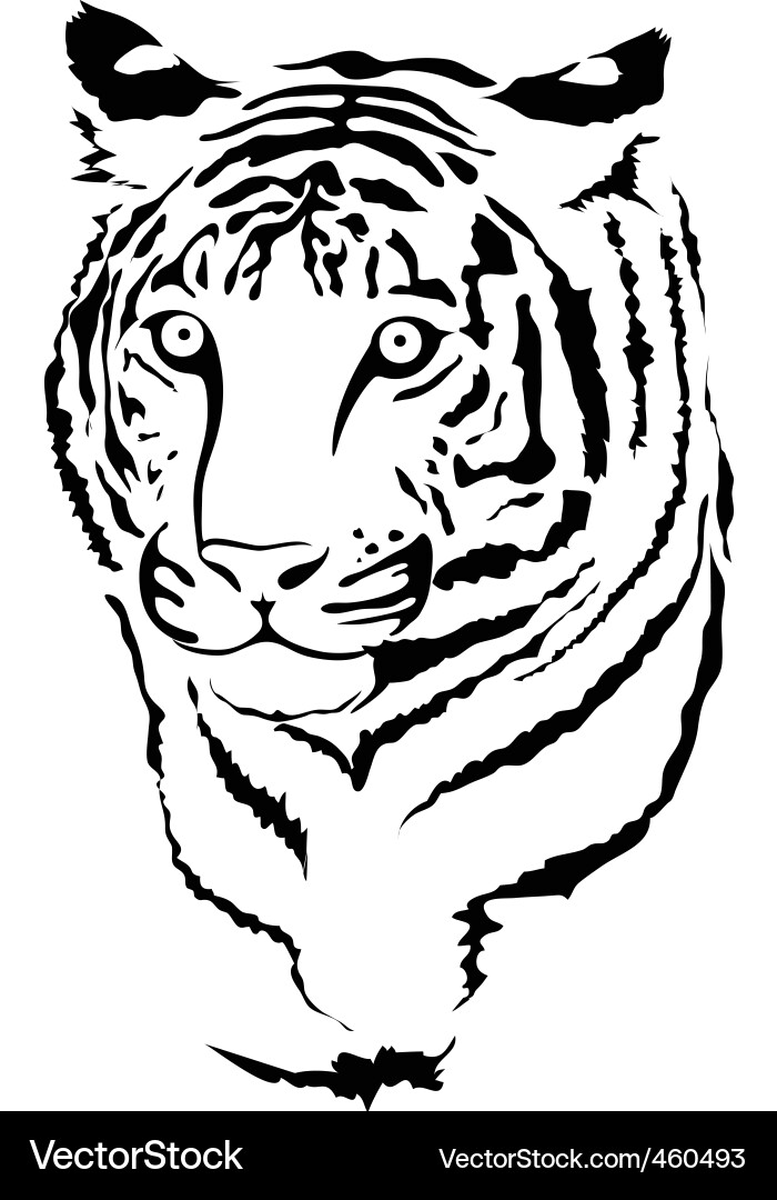 Big cat Royalty Free Vector Image - VectorStock