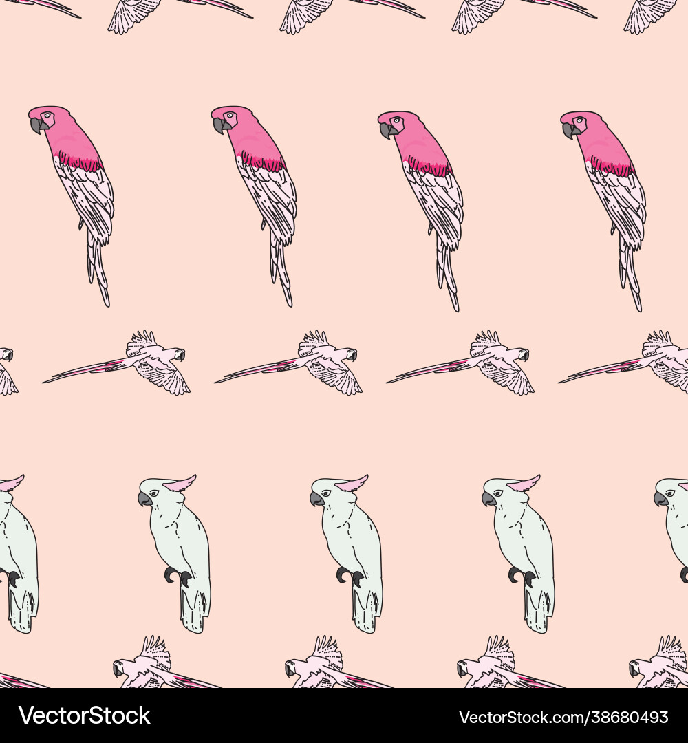 Pink background tropical birds parrots Royalty Free Vector