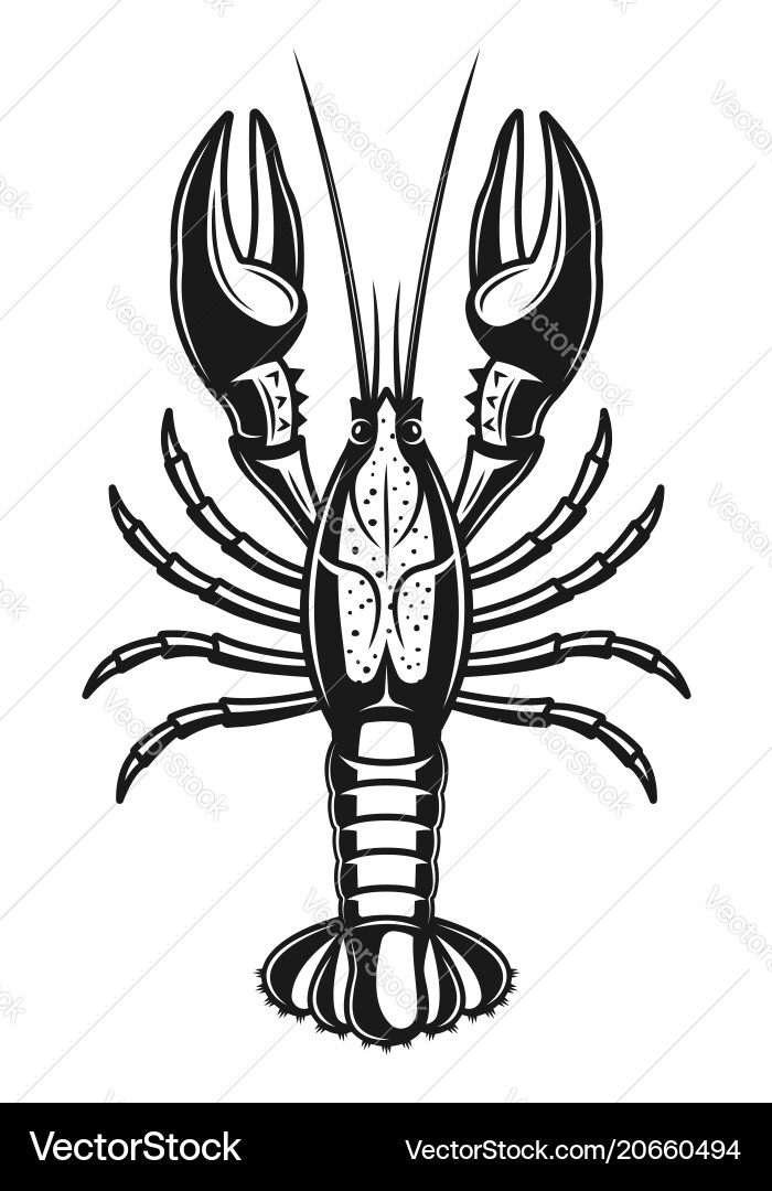 Crayfish detailed monochrome Royalty Free Vector Image