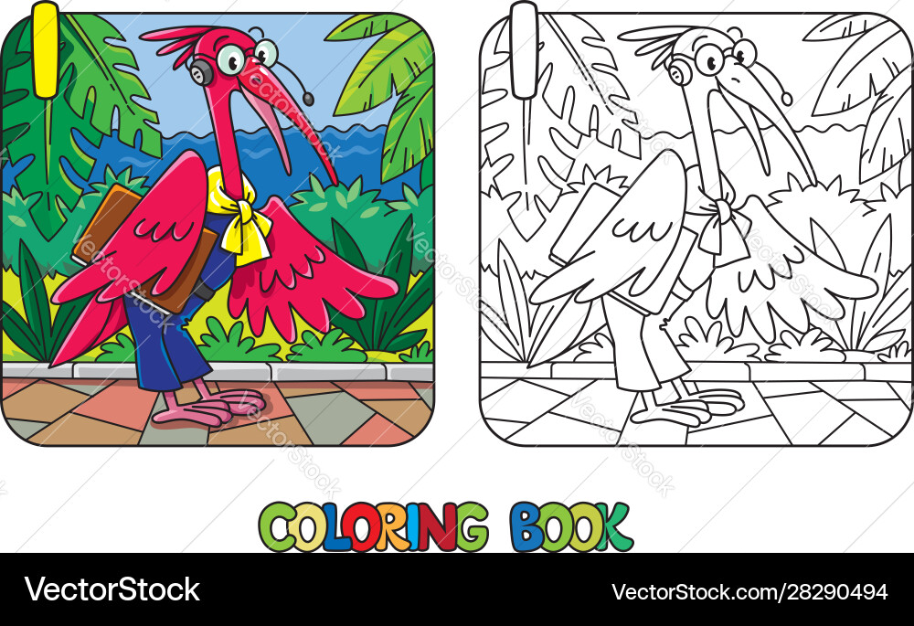 Ibis interpreter or translator abc coloring book Vector Image