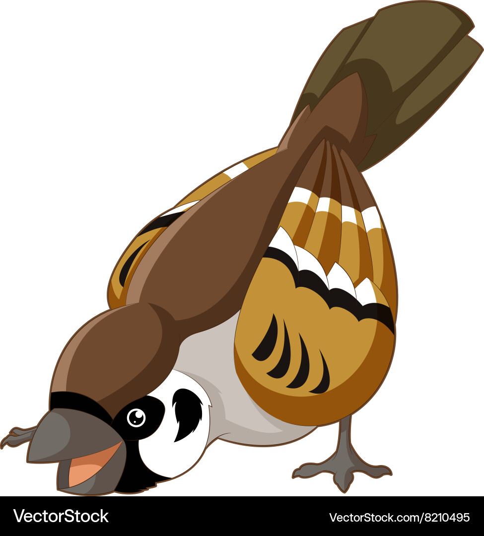 Cartoon smiling sparrow Royalty Free Vector Image