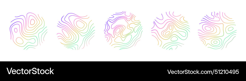 Circular wood rings or topographic map lines Vector Image