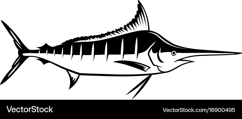 Graphic marlin Royalty Free Vector Image - VectorStock