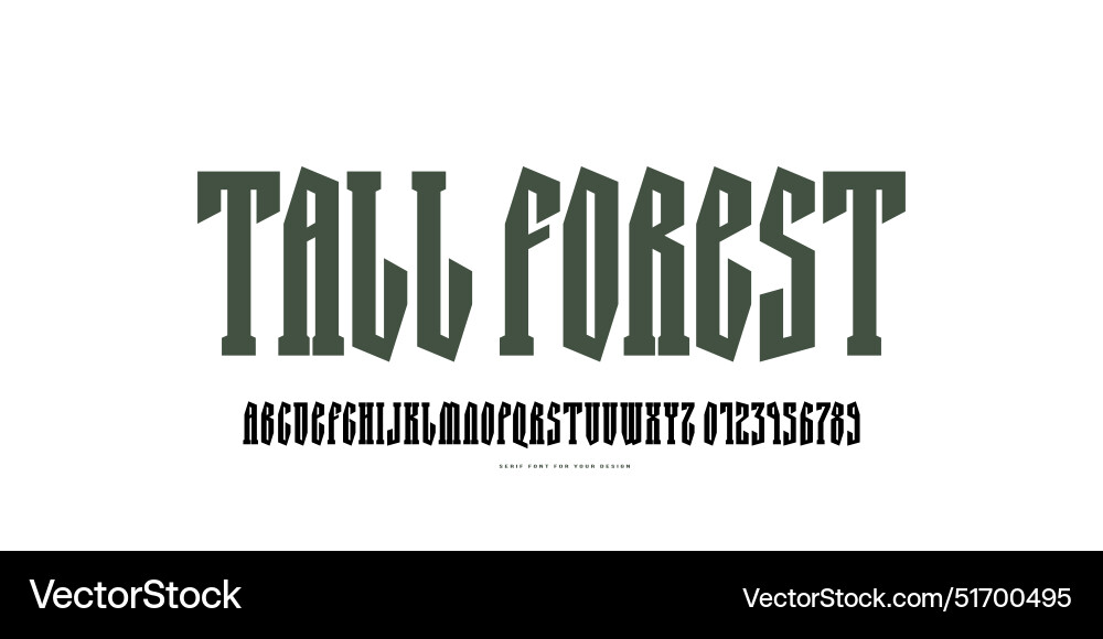 Narrow serif font in retro style Royalty Free Vector Image
