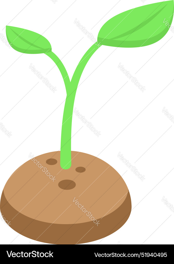 Young plant growing from the ground isometric Vector Image