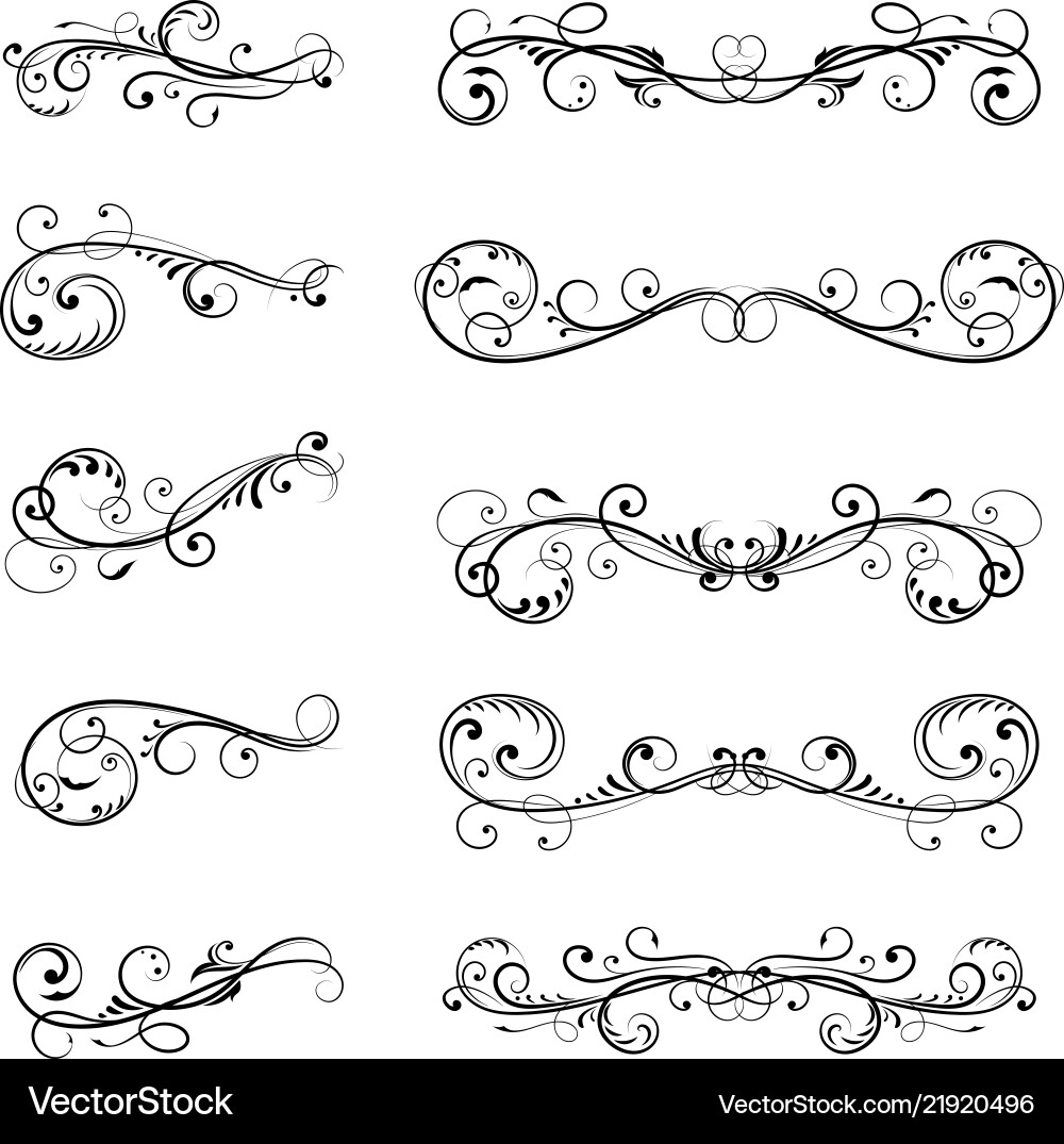 Floral divider black filigree decorations Vector Image