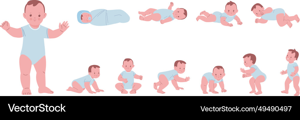 Baby growth process male toddler development step Vector Image