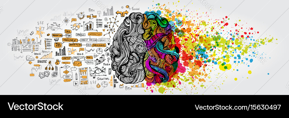 Left right human brain concept creative part Vector Image
