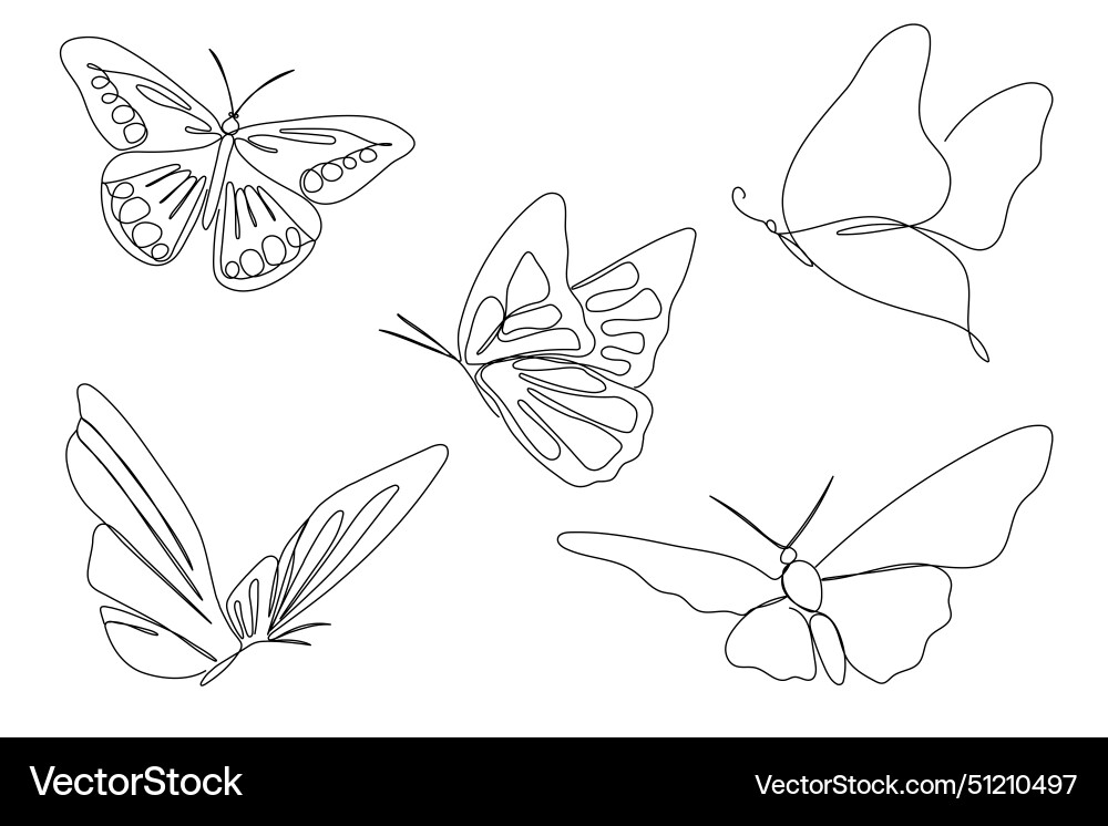 One line butterfly sketches set single hand Vector Image