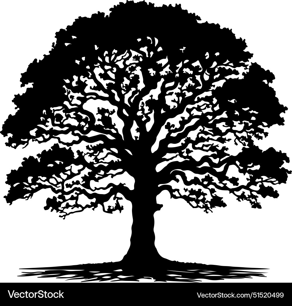 Beautiful tree silhouette white background Vector Image