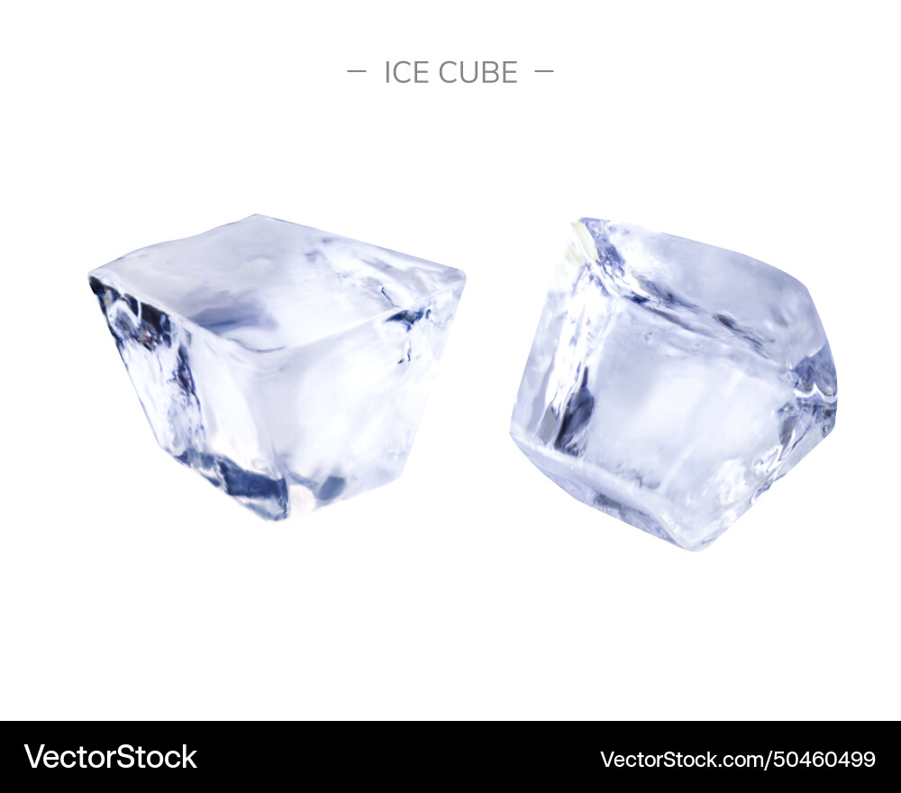Clear ice cubes Royalty Free Vector Image - VectorStock