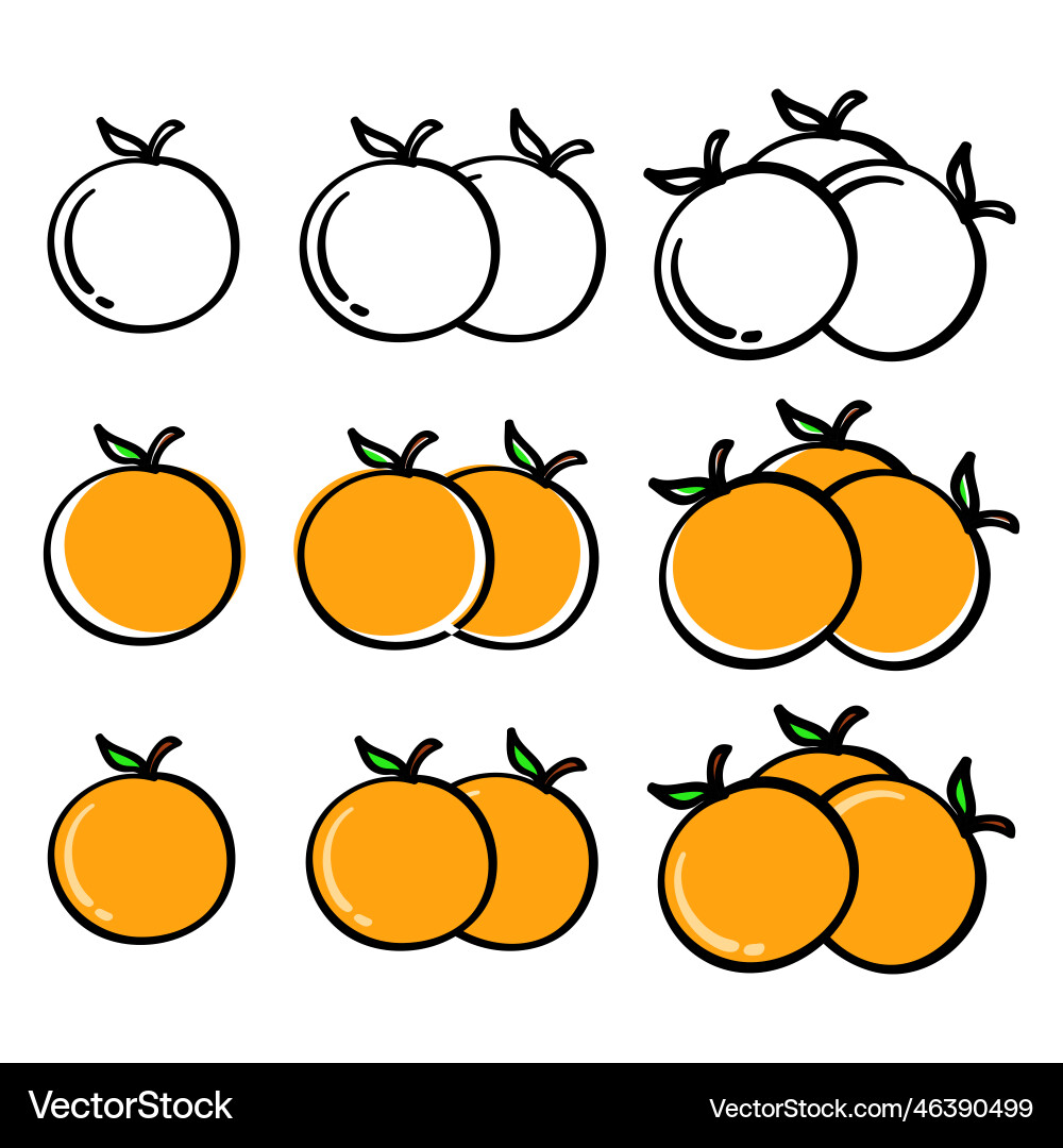 Hand drawn orange Royalty Free Vector Image - VectorStock