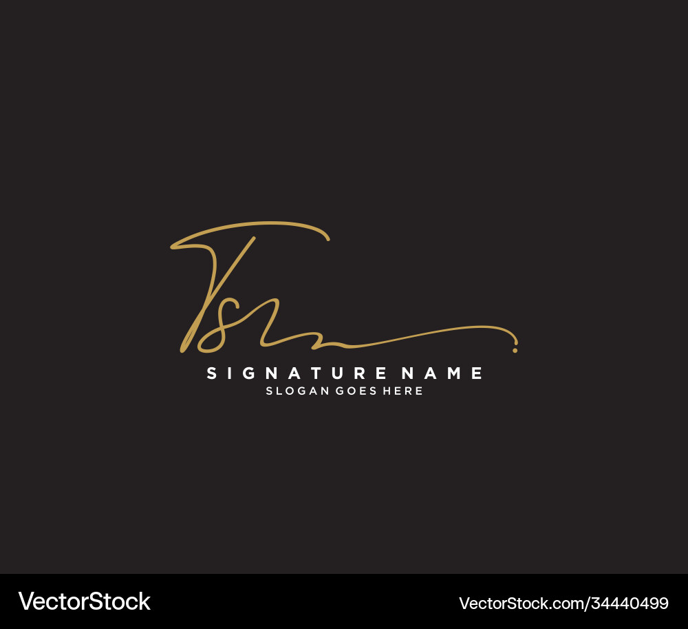 Letter ts signature logo template Royalty Free Vector Image